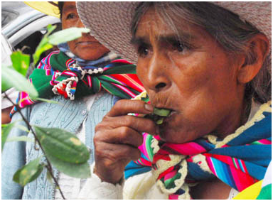 Cumbre Iberoamericana llama a respetar el masticado de la hoja de coca ...