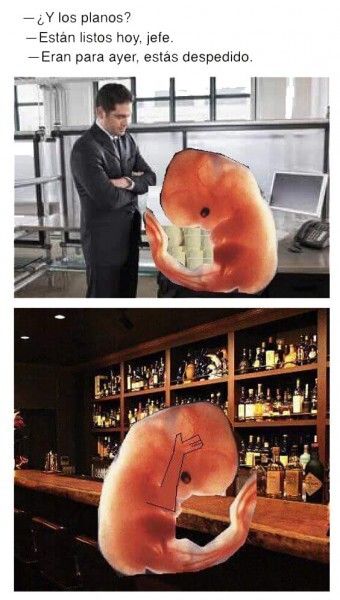 10 memes para el feto que quiere ser ingeniero - Cosecha Roja